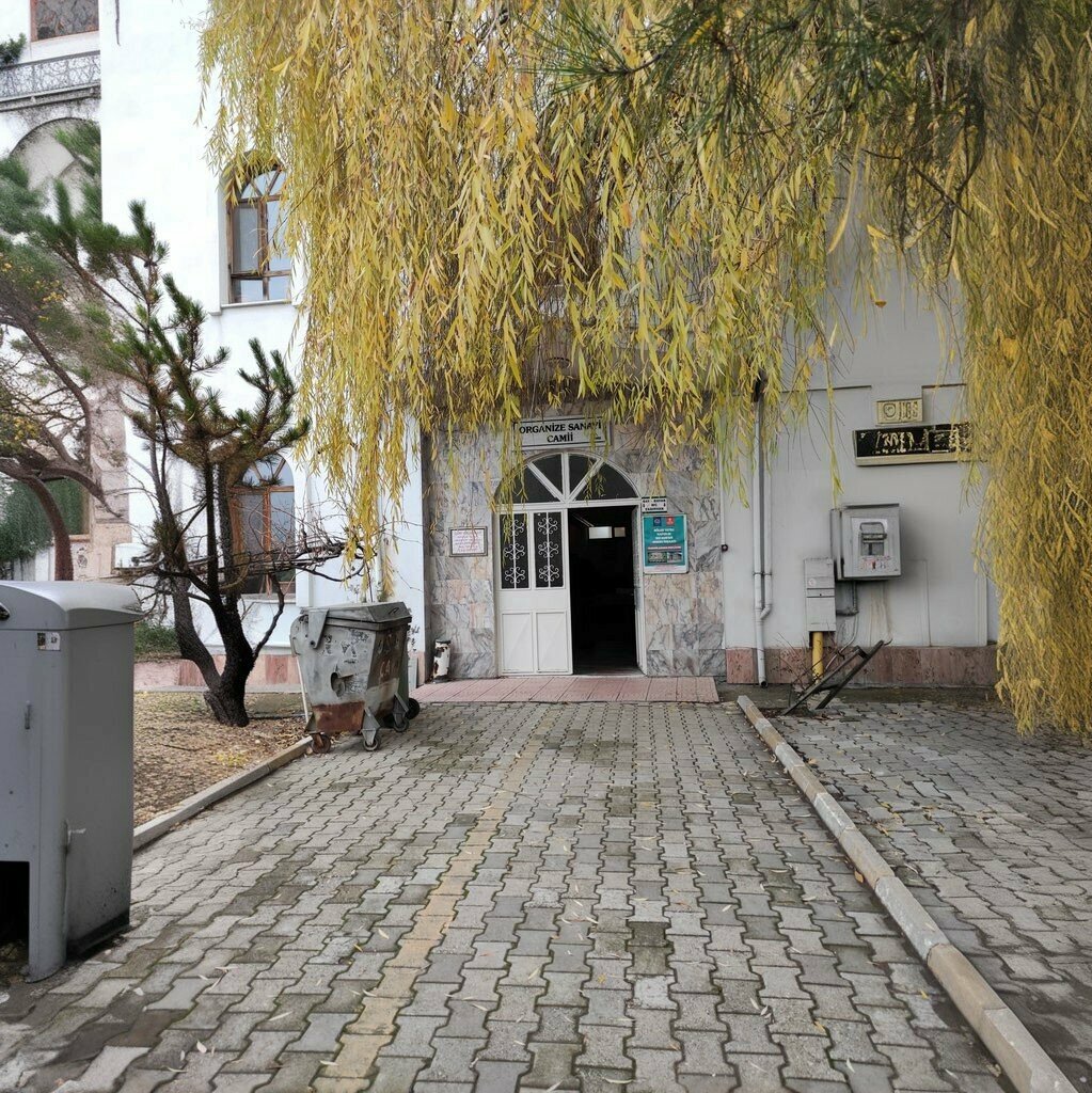 Cami Organize Sanayi Cami, Çorum, foto