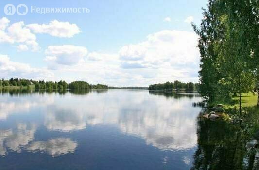 Yazlık yerleşim Ораваниеми, Saint‑Petersburg ve Leningradskaya oblastı, foto