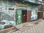 Zootopia (Mikhail Frunze Street No:370/2), hayvanat bahçeleri  Bişkek'ten