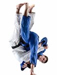 International Golden Falcon Karate (Horizon Tower D, Horizon Towers, Al Rashidiya 1, City Center Sector, Ajman), spor kulüpleri  Ayman'dan