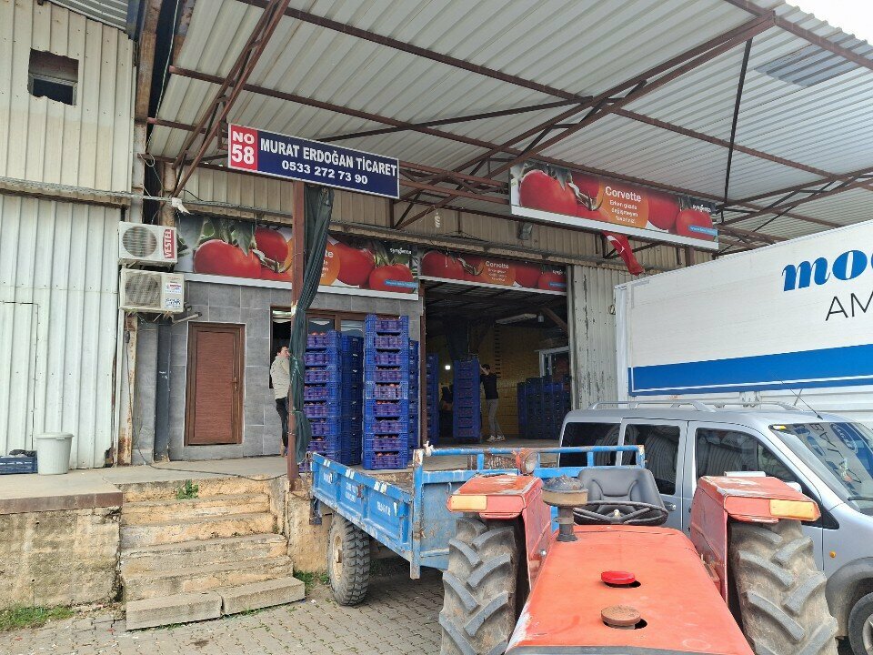 Toptan sebze ve meyve satışı Murat Erdoğan Ticaret Sebze, Meyve ve Tohum, Fethiye, foto