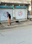 Tawakal Tent Service (Province of Punjab, Rawalpindi, Sadiqabad, Service Road), sanayi kuruluşu  Rawalpindi'den