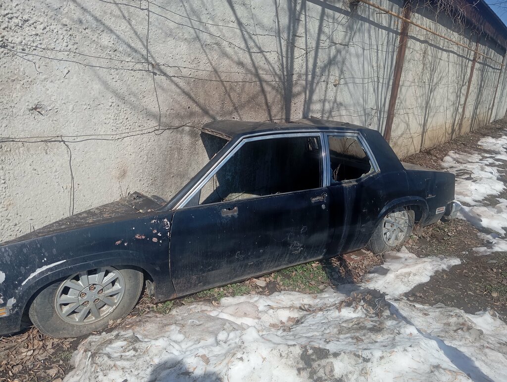 Oto kiralama Ретро-гараж 26, Nevinnomissk, foto