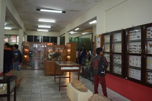 Noel Kempff Mercado Natural History Museum (Santa Cruz de la Sierra, Distrito Municipal 11, Avenida Irala, 565), müzeler ve sanat galerileri  Santa‑Krus'tan
