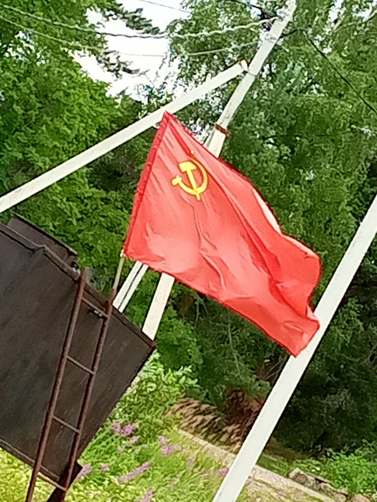 Tren istasyonu остановочный пункт Соколиное озеро, Saint‑Petersburg ve Leningradskaya oblastı, foto