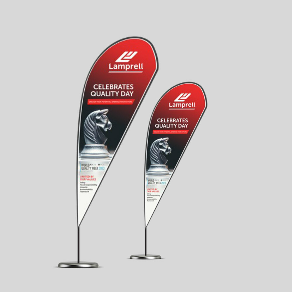 Web tasarım hizmetleri Magnus Designs, Dubai, foto