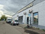 Fruit and Vegetable Department (Truda Street No:41), manavlar  Petropavl'dan (Petropavlovsk'tan)