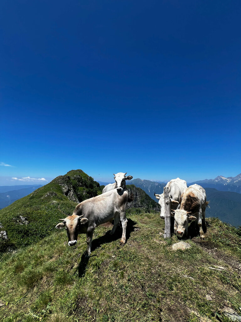 Seyir terası Observation deck, Soçi, foto