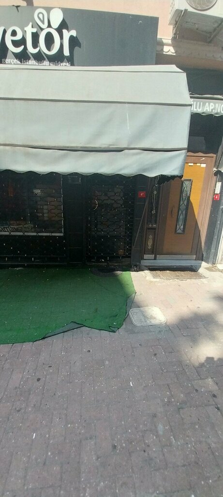 Fast food Midyetör, İstanbul, foto