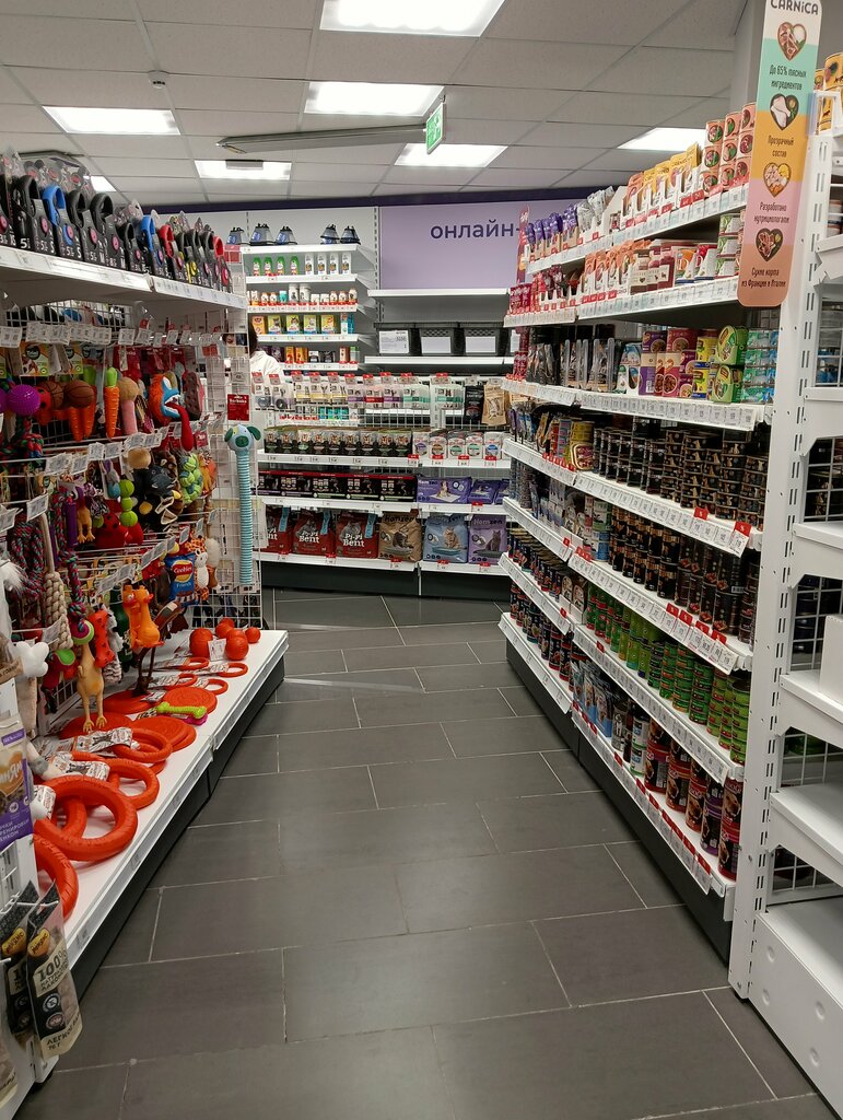 Petshop Zoozavr, Izhevsk, foto