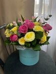 Proflowers (ulitsa Truda No:13, mikrorayon Sheksna Severnaya, rabochiy posyolok Sheksna), çiçekçiler  Vologodskaya oblastından