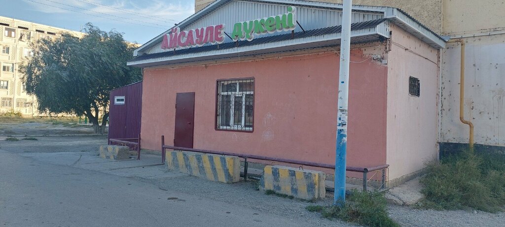 Market Aysaule, Kızılorda, foto