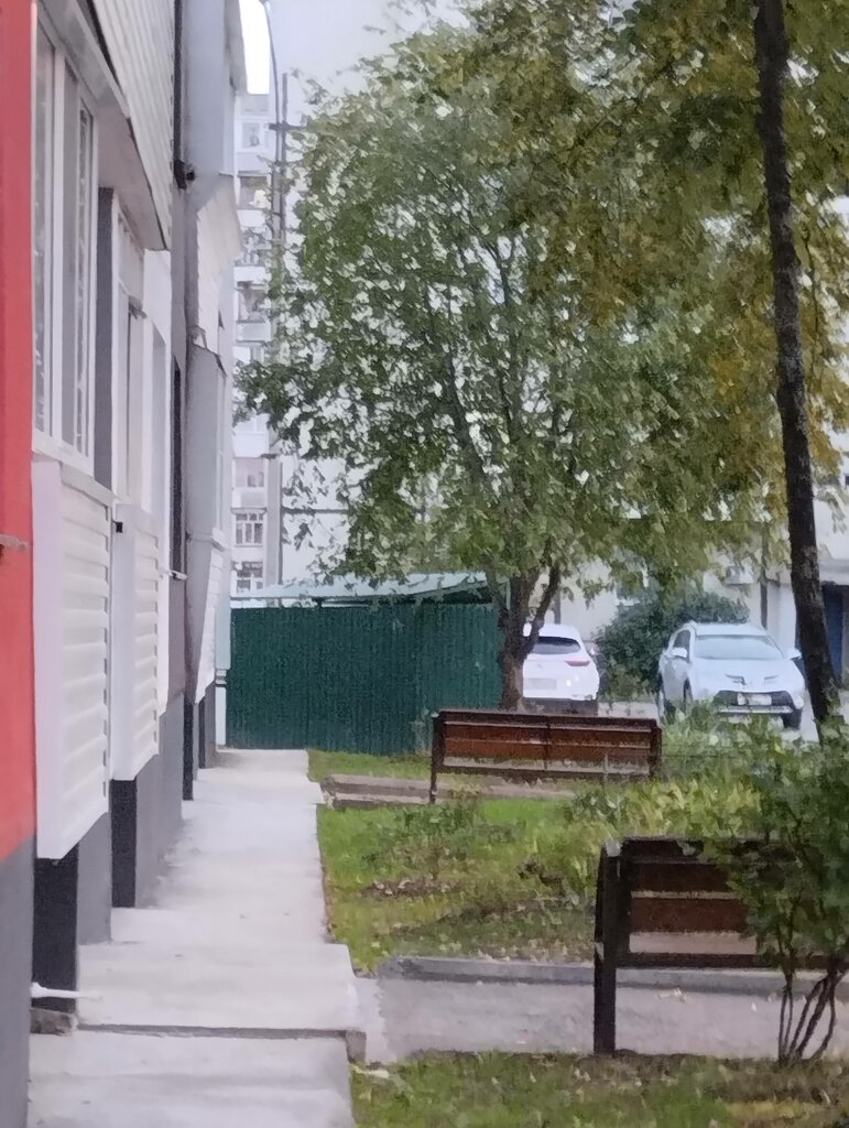 Çöp alanları Trash and garbage disposal area, Tobolsk, foto