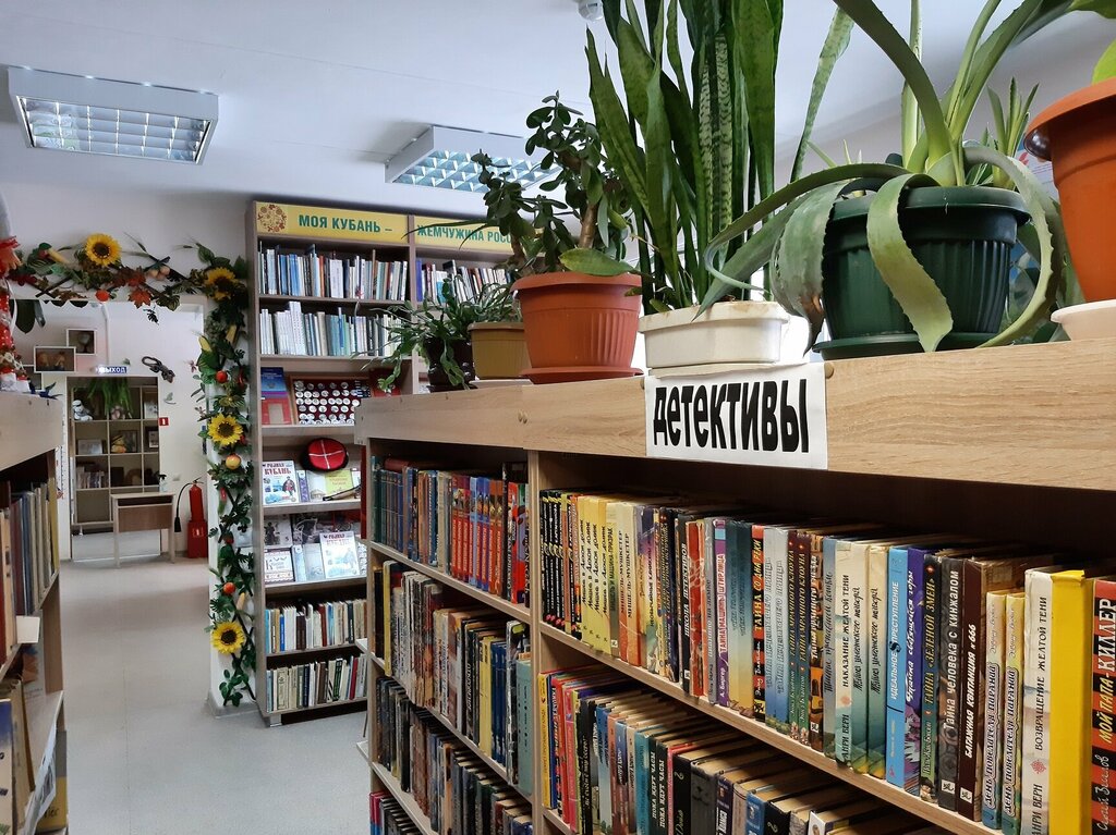 Kütüphaneler K.I. Chukovsky Children's Library, Branch № 2, Novorossiysk, foto