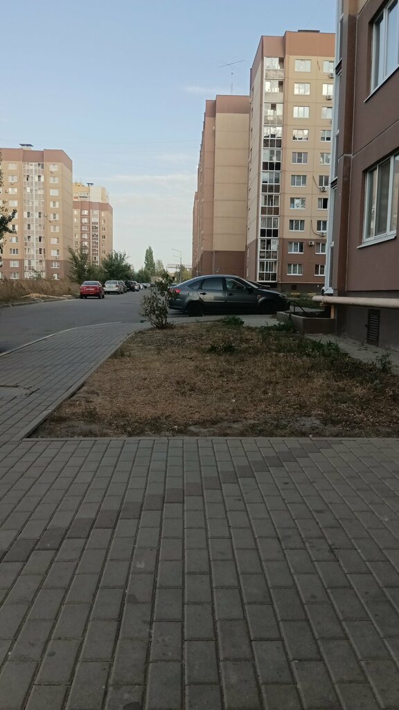 Ehliyet sınav alanı Автодром, Voronej, foto