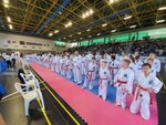 Taekwon-Do Baek-Ho Bolivia (Department of La Paz, Provincia Murillo, La Paz, Cotahuma, Cristo Rey, Calle Martires de la Democracia, 778), eğitim merkezleri  Bolivya'dan