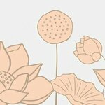 Nelúmbo (Engelsa Avenue No:39), çiçekçiler  Saint‑Petersburg'dan