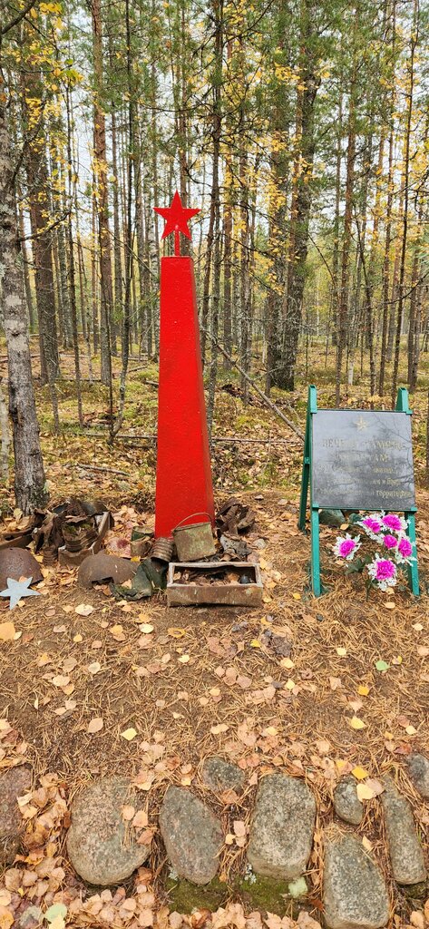 Unutulmaz olayların yeri Место гибели гарнизона Кожекина, февраль 1940 года, Karelya, foto