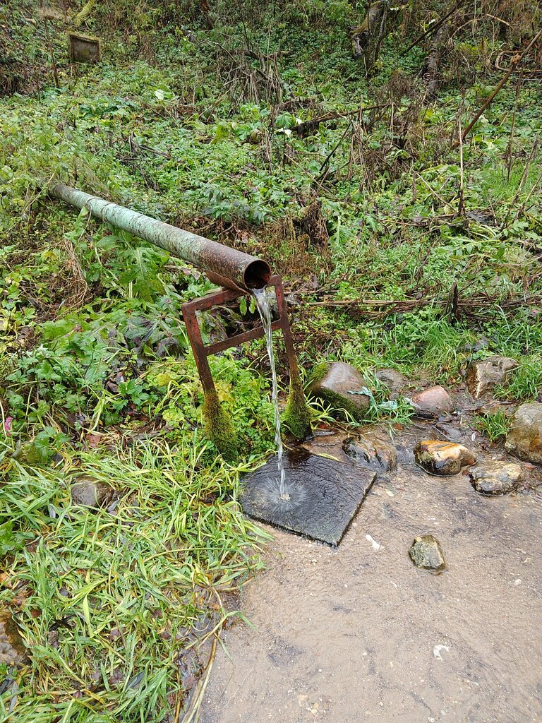 Pınar, çay Spring, stream, Moskova ve Moskovskaya oblastı, foto