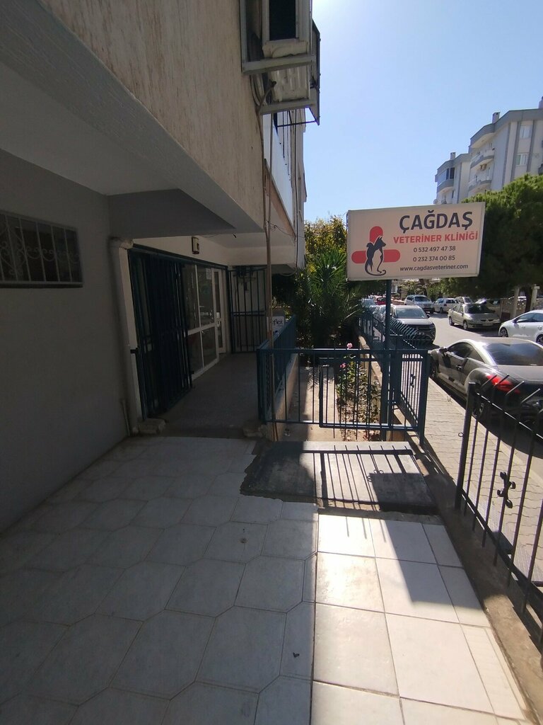 Veteriner klinikleri Çağdaş Veteriner Kliniği, İzmir, foto