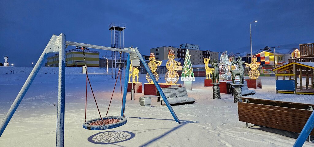 Oyun alanı Playground, Arhangelskaya oblastı, foto
