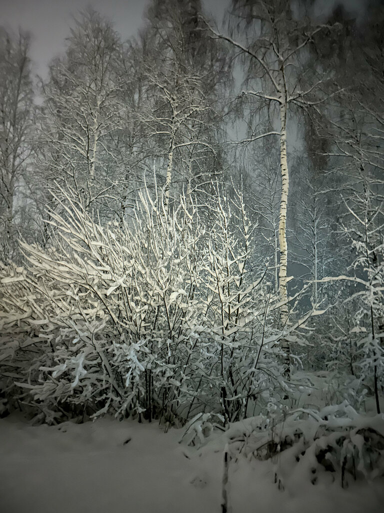 Arazi dizisi Зеленые Дали, Moskova ve Moskovskaya oblastı, foto