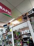 Зоотовары (Mira Avenue No:157), petshop  Omsk'tan