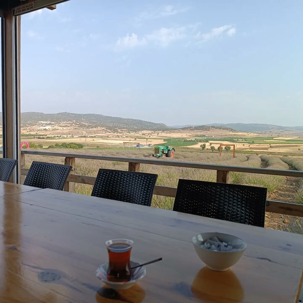 Kafe Lavantepe Lavanta Bahçesi, Yeşilova, foto
