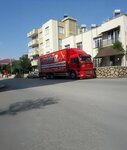 Mini Market (Osmaniye, Osmaniye Merkez , Esenevler Mah., 14063. Sok., 16), mini-market  Osmaniye'den
