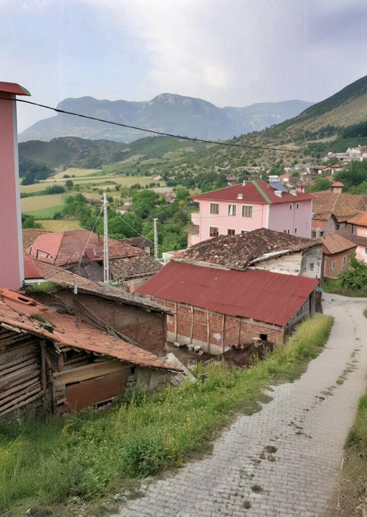 Muhtarlıklar Kümbetli Köy Muhtarlığı, Niksar, foto