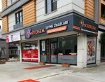 Odyosem İşitme Cihazları (Düzce, Düzce Merkez, Aziziye Mah., Şehit Ramazan Gel Cad., 22A), i̇şitme cihazları  Düzce'den