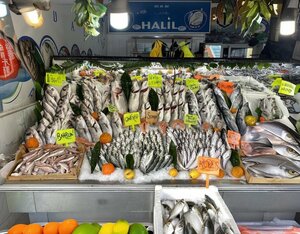 Balıkçı Halil (Fatih Mah., Çine Cad., Efeler, Aydın), restoran  Efeler'den