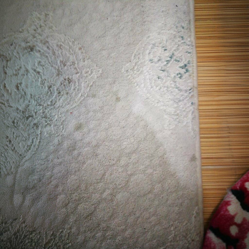 Halı yıkamacılar Bereket Halı Yıkama, Ankara, foto