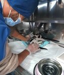 Trakya Bölge Veteriner Kliniği (Kırklareli, Babaeski, Hacıhasan Mah., Cumhuriyet Blv., 20/1), veteriner klinikleri  Babaeski'den