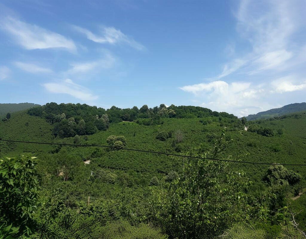 Muhtarlıklar Koçullu Köy Muhtarlığı, Akçakoca, foto