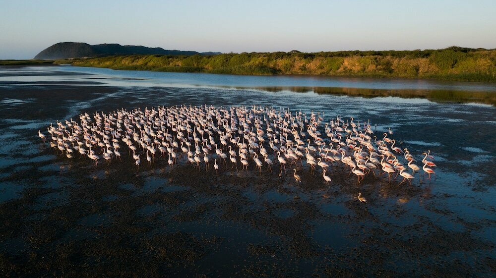 Otel Pelican s Nest Holiday Home St Lucia, Dünya, foto