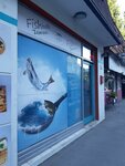 Fish Butik (Aleksandra Dubceka Street No:5P), balıkçılık ekipman firmaları  Belgrad'dan