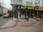 Öz Arslan Pet Shop (Ankara, Mamak, Abidinpaşa Mah., Kısıklı Sok., 2D), petshop  Ankara'dan