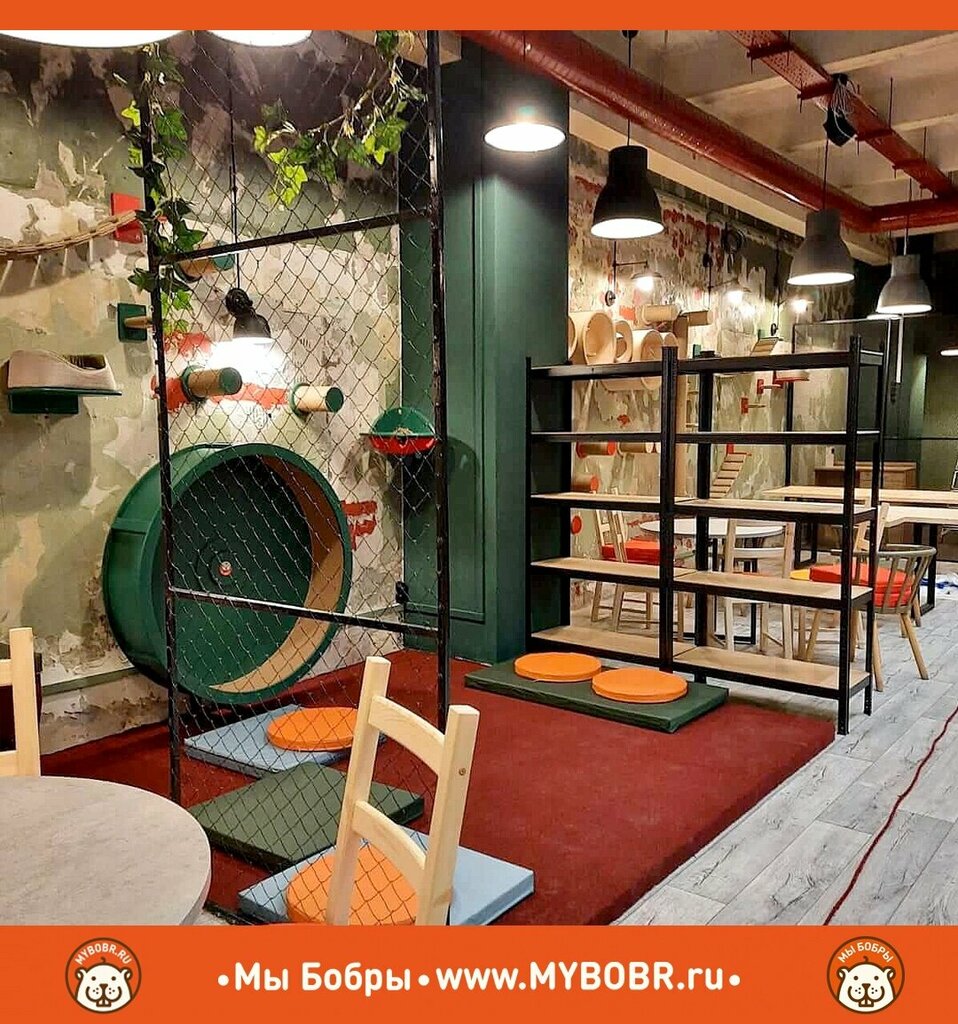 Petshop MyBobr, Moskova, foto