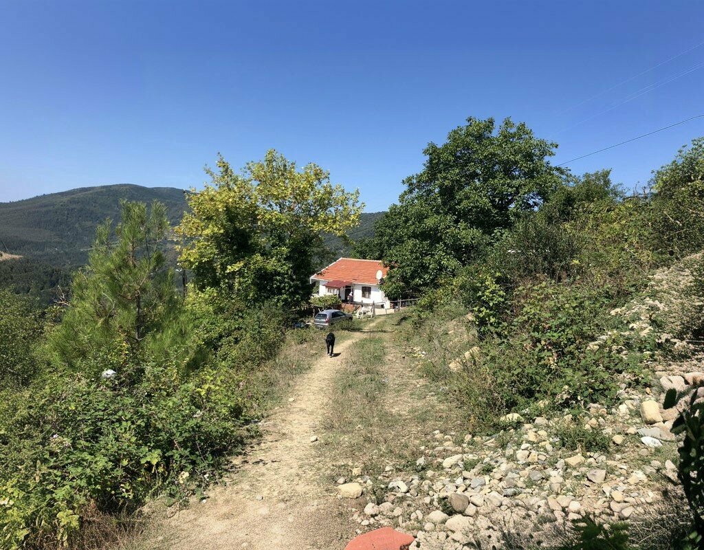 Muhtarlıklar Akçakese Köy Muhtarlığı, Ayancık, foto
