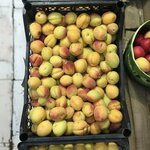 Kaya Market (Velişaban Mah., Unutulmaz Cad., No:4, Merkez, Bayburt), market  Bayburt'tan