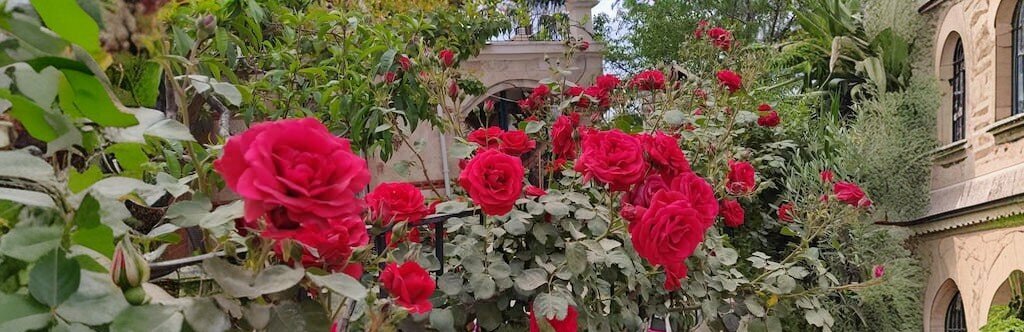 Kısa süreli konaklama Turquaz Villa, Fethiye, foto
