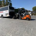 Aydın Kiralık Forklift (Aydın, Efeler, Ata Mah., 604. Sok., 16), i̇nşaat ekipmanı kiralama  Efeler'den