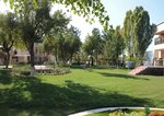 Hayal Garden Kır Bahçesi (Sivas, Şarkışla, Ortaköy Köyü), düğün, toplantı salonu  Şarkışla'dan