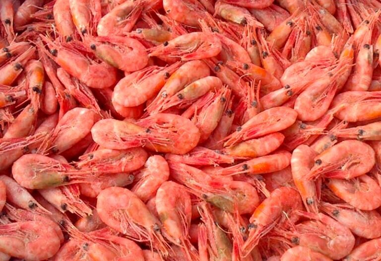 Toptan et ürünleri МитФиш, Krasnodar, foto