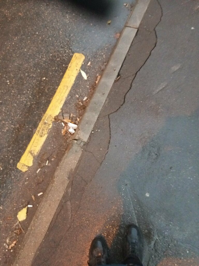 Sivil toplum kuruluşları Общественная организация Двуглавый Орел, Moskova, foto