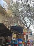 Fish Corner (No:75, Township, Sector B-1), balık ve deniz ürünleri  Lahor'dan