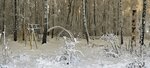Sports ground (Penza Region, Zarechny, Imeni M. Lermontova Park), spor alanı  Zerechny'den