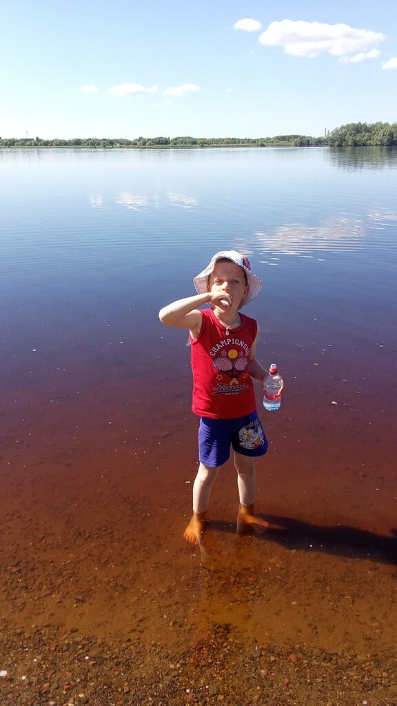 Bahçecilik dernekleri ve kuruluşları Борок, Arhangelskaya oblastı, foto