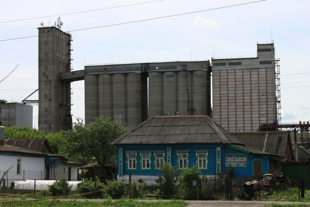 Tahıl firmaları Bio Life, Nijegorodskaya oblastı, foto